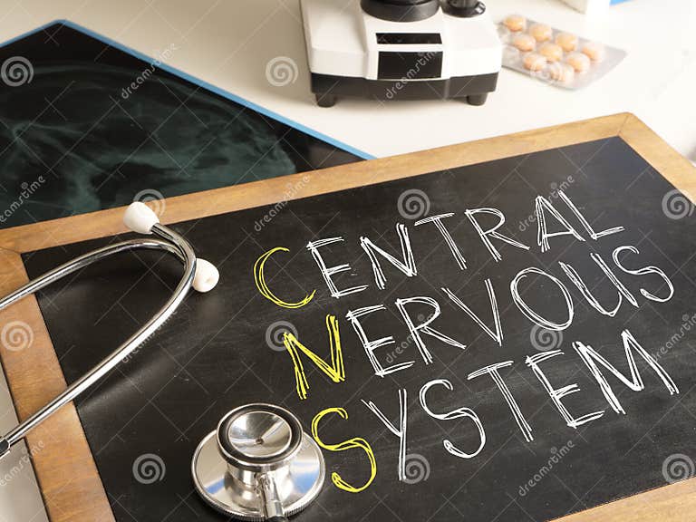 CNS Central Nervous System is Shown Using the Text and X-ray Picture of ...