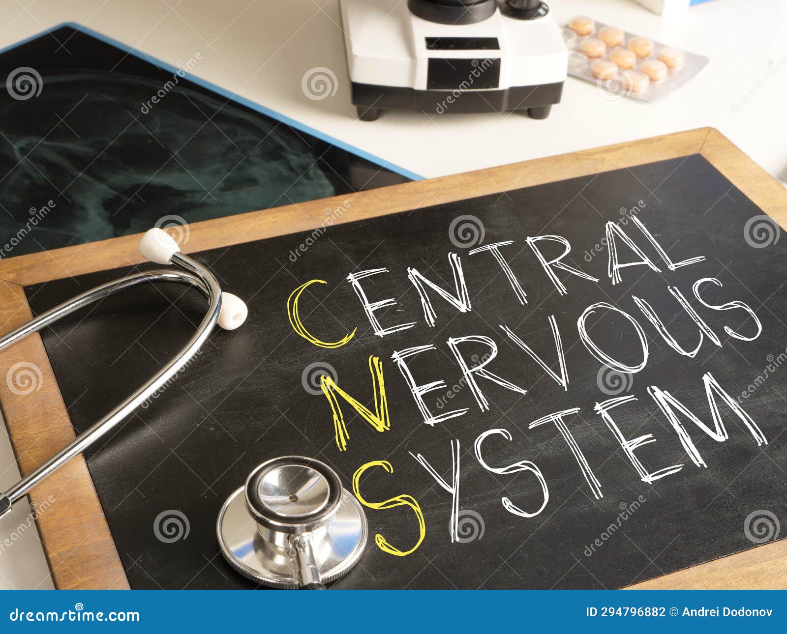 Central Nervous System, Doctor Working On Holographic Interface, Motion ...