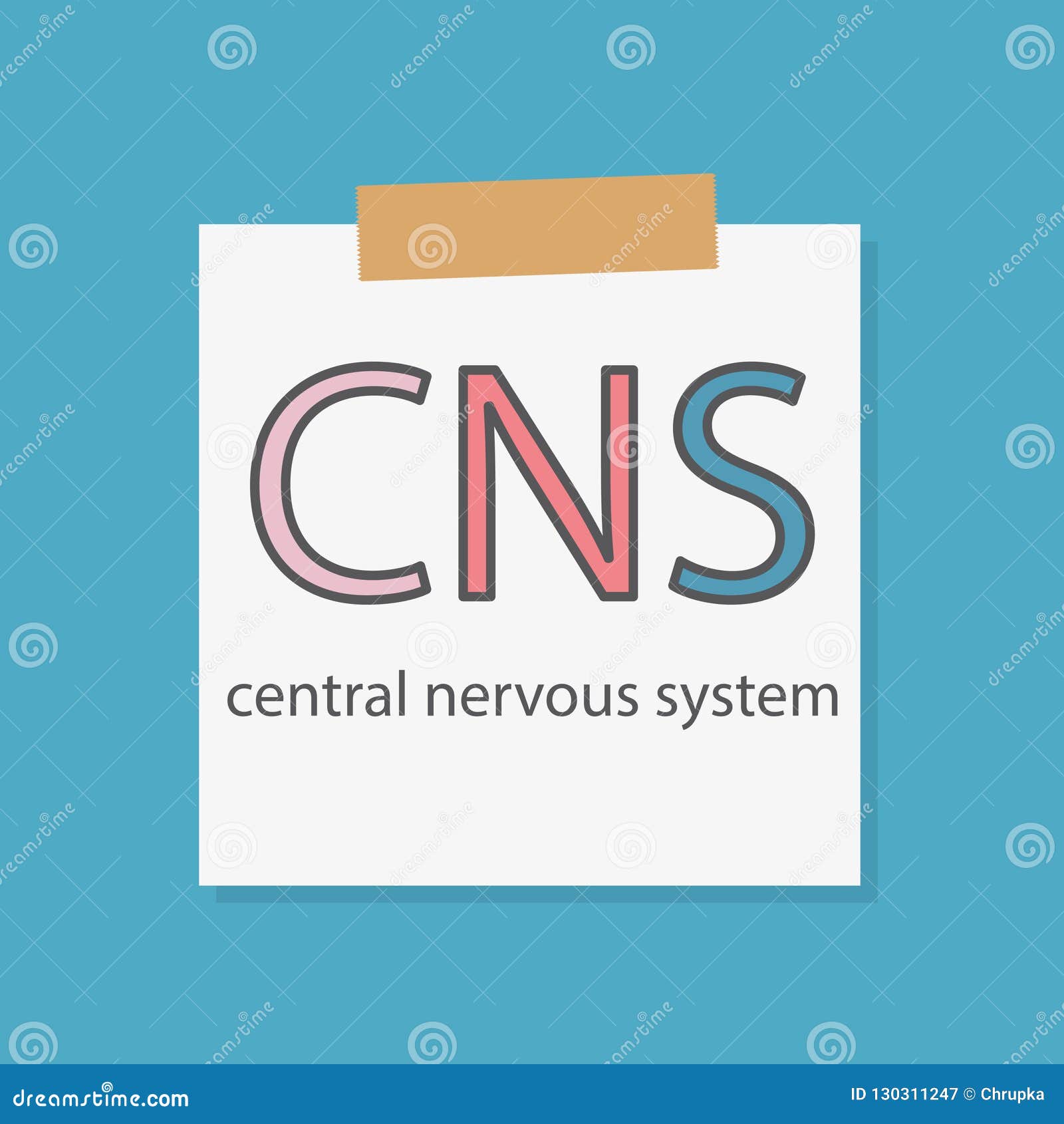 CNS Central Nervous System Written in a Notebook Paper Stock Vector ...