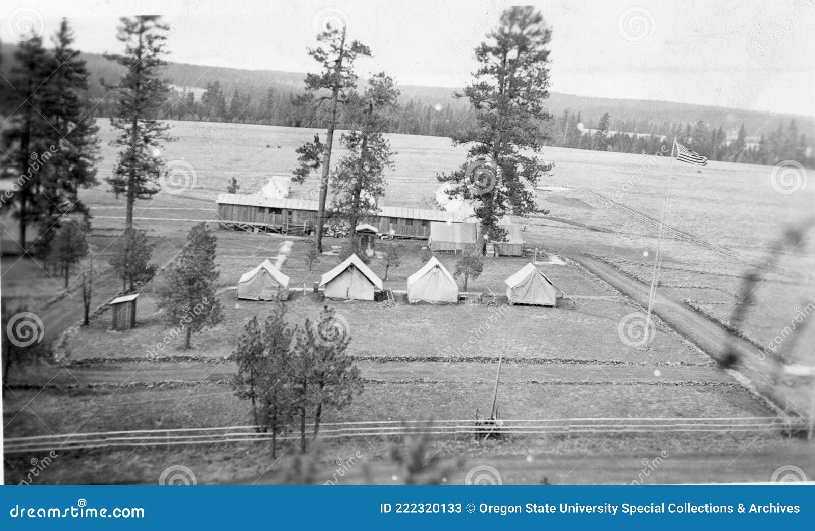 Co. 1309 Camp "Frog Heaven" Picture. Image: 222320133