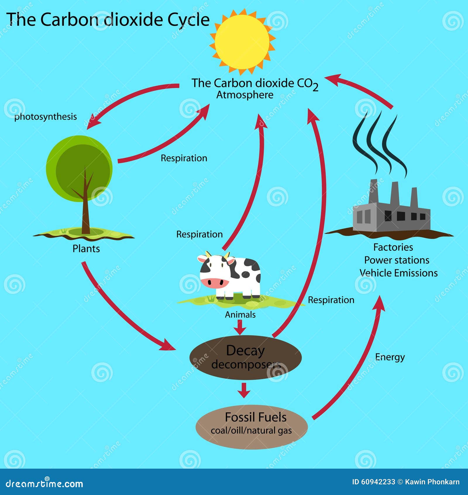 CO2 stock vector. Illustration of green, scheme, respiration - 60942233