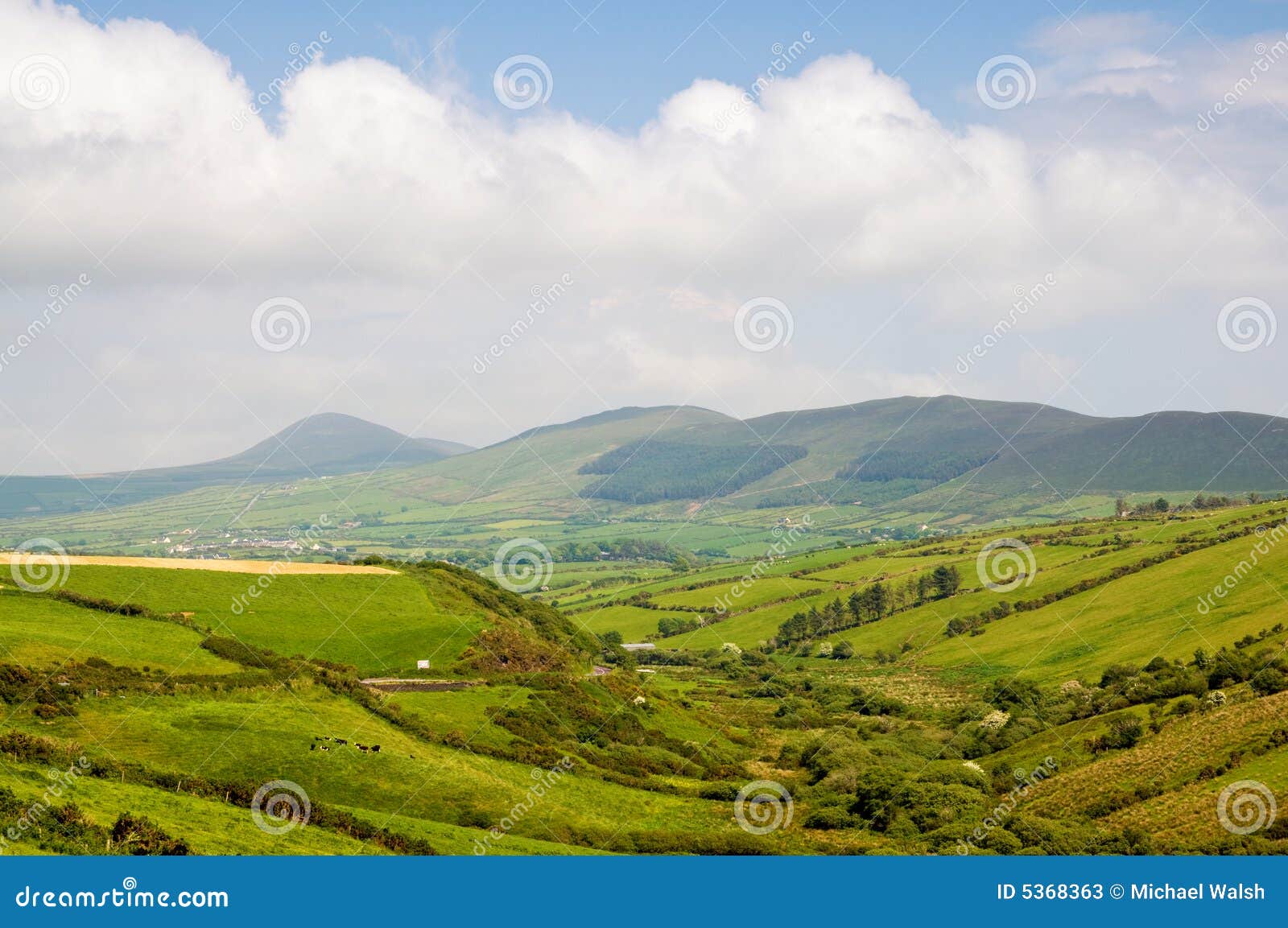 Co.Kerry Landscape stock image. Image of rural, meadow - 5368363