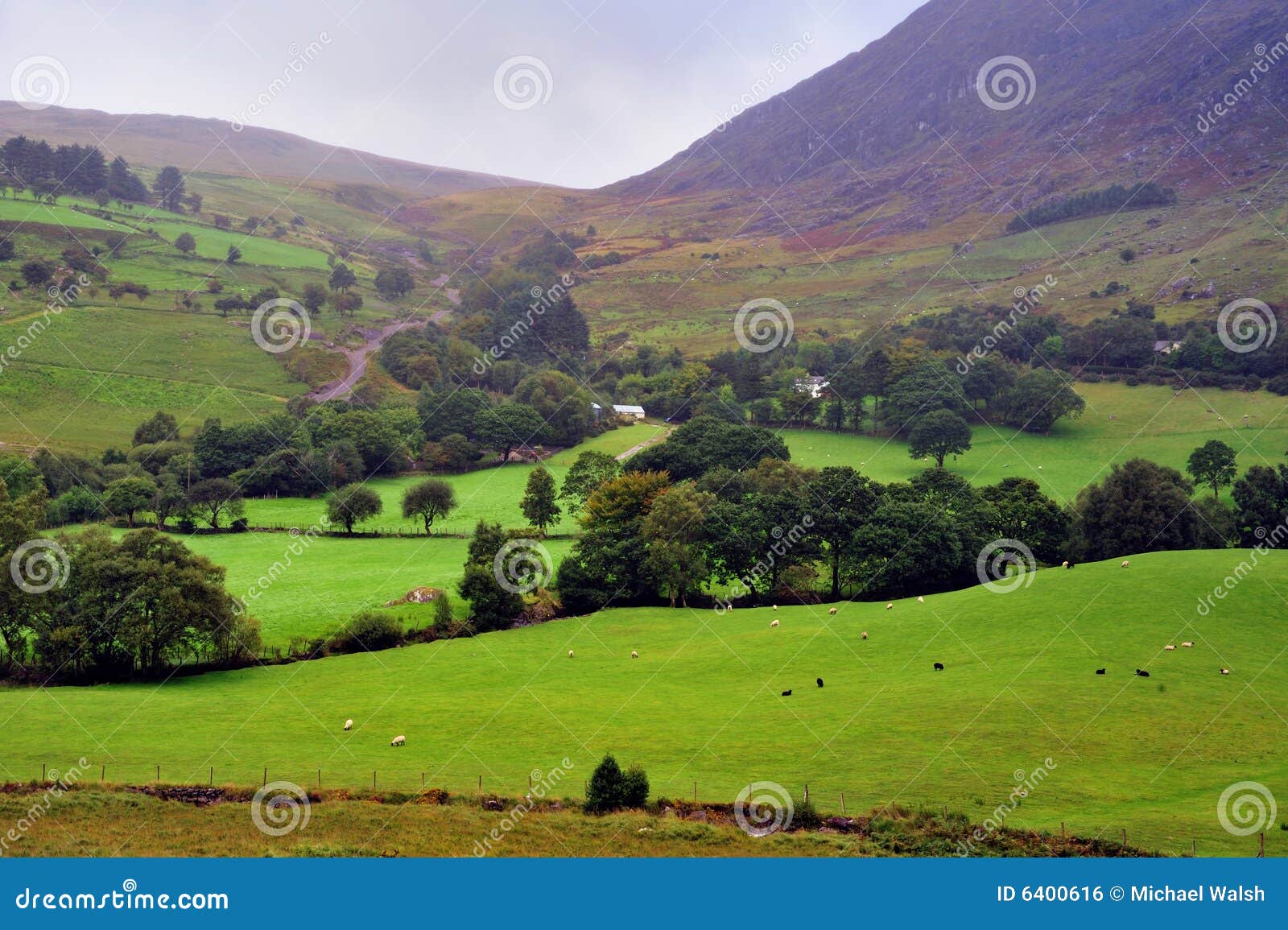 Co.Kerry Landscape stock photo. Image of ireland, environment - 6400616