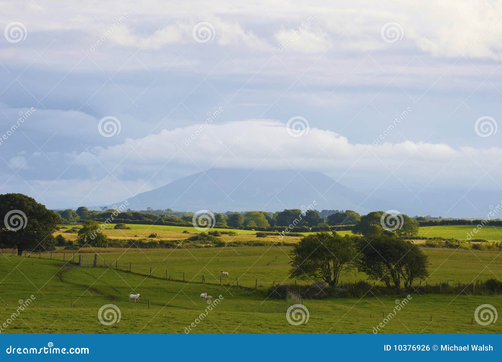 Mayo Landscape Royalty-Free Stock Image | CartoonDealer.com #7870468