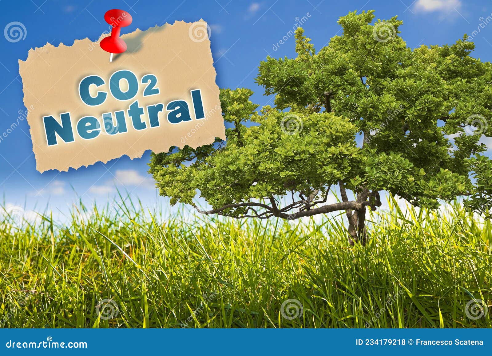 CO2 Net-Zero Emission - Carbon Neutrality Concept with Lone Tree Stock ...