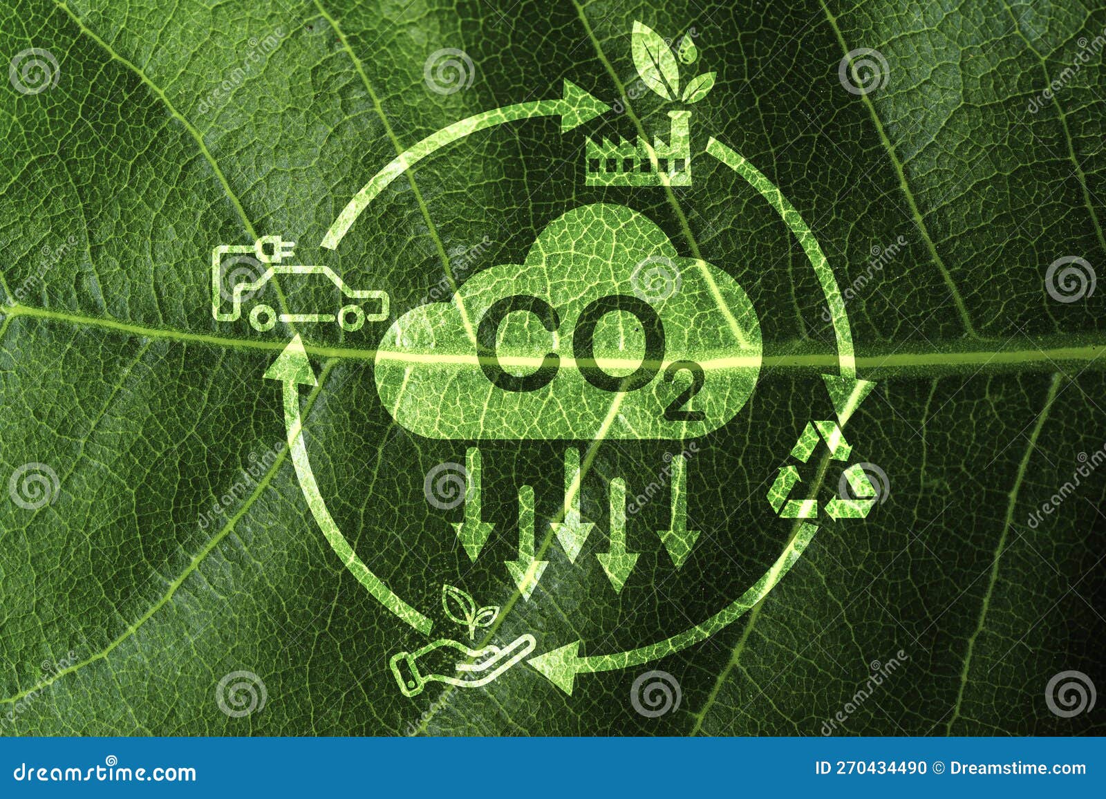 CO2 Reducing Icon on Green Leaf with Circular for Decrease CO2 , Carbon ...