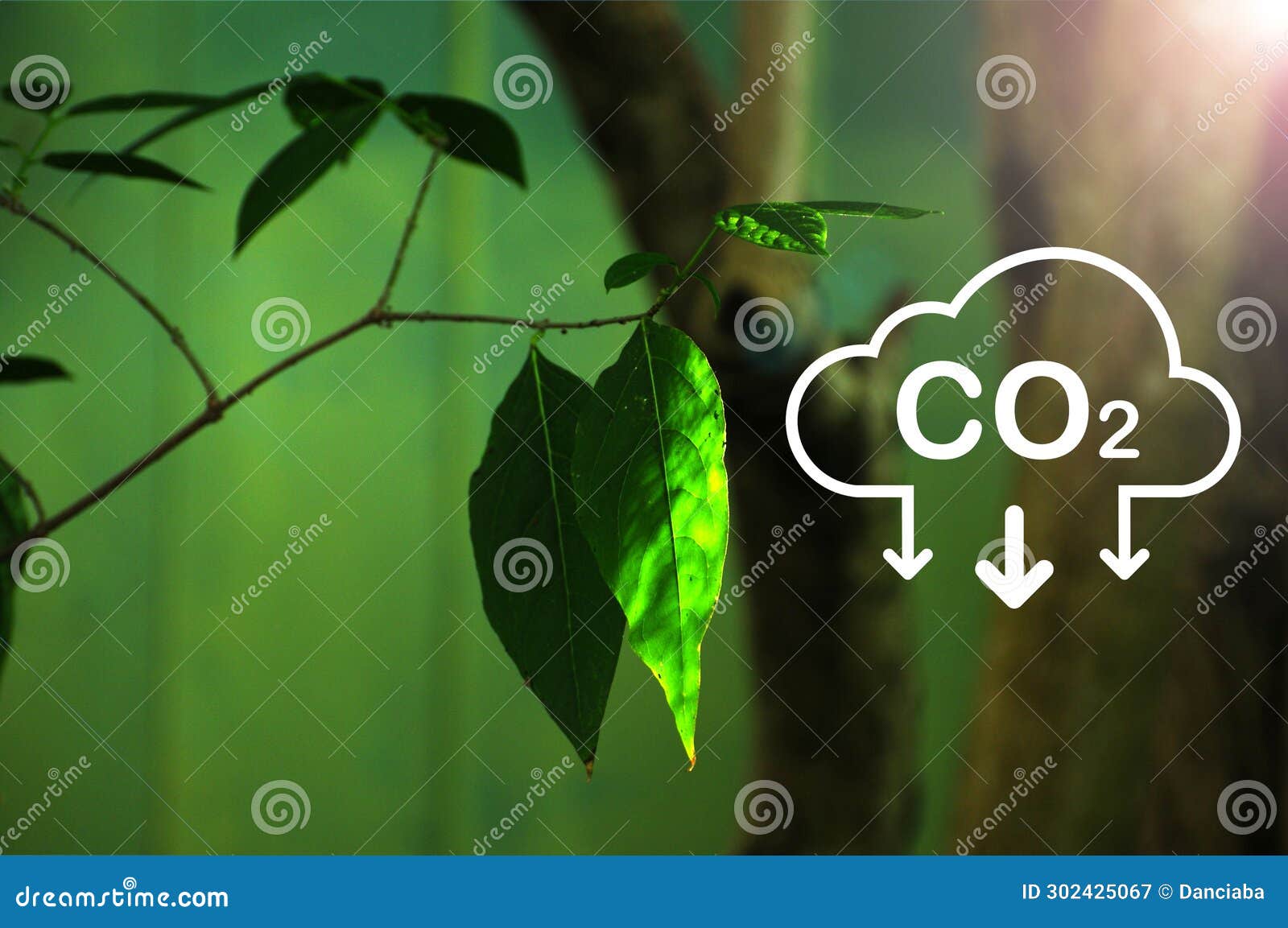 CO2 Reducing Icon and a Green Leaf on Tree. CO2 Reduction Concept for Environment Stock Image ...