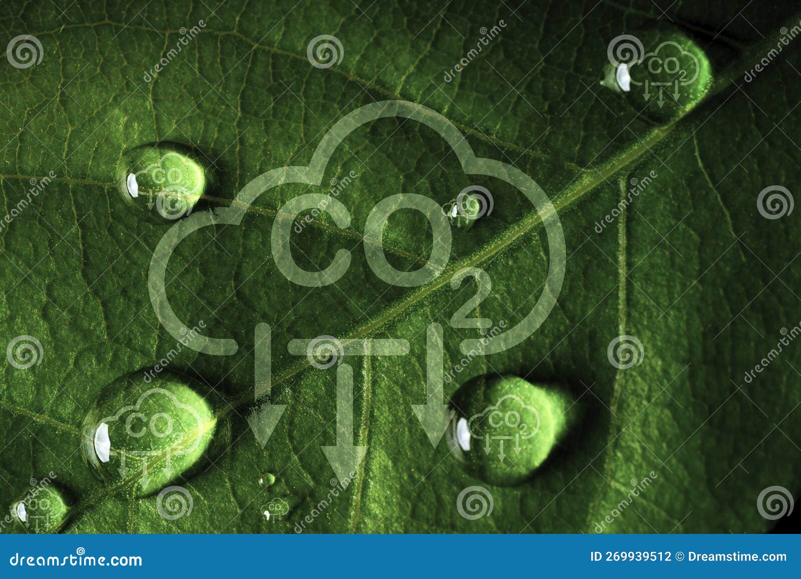 CO2 Reducing Icon on Green Leaf with Water Droplet for Decrease CO2 , Carbon Footprint and ...