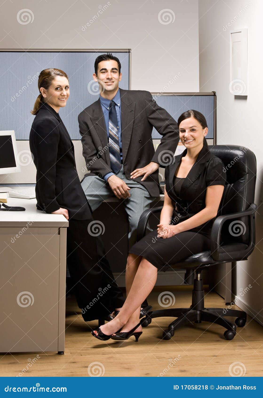 People Working In Office Cubicles