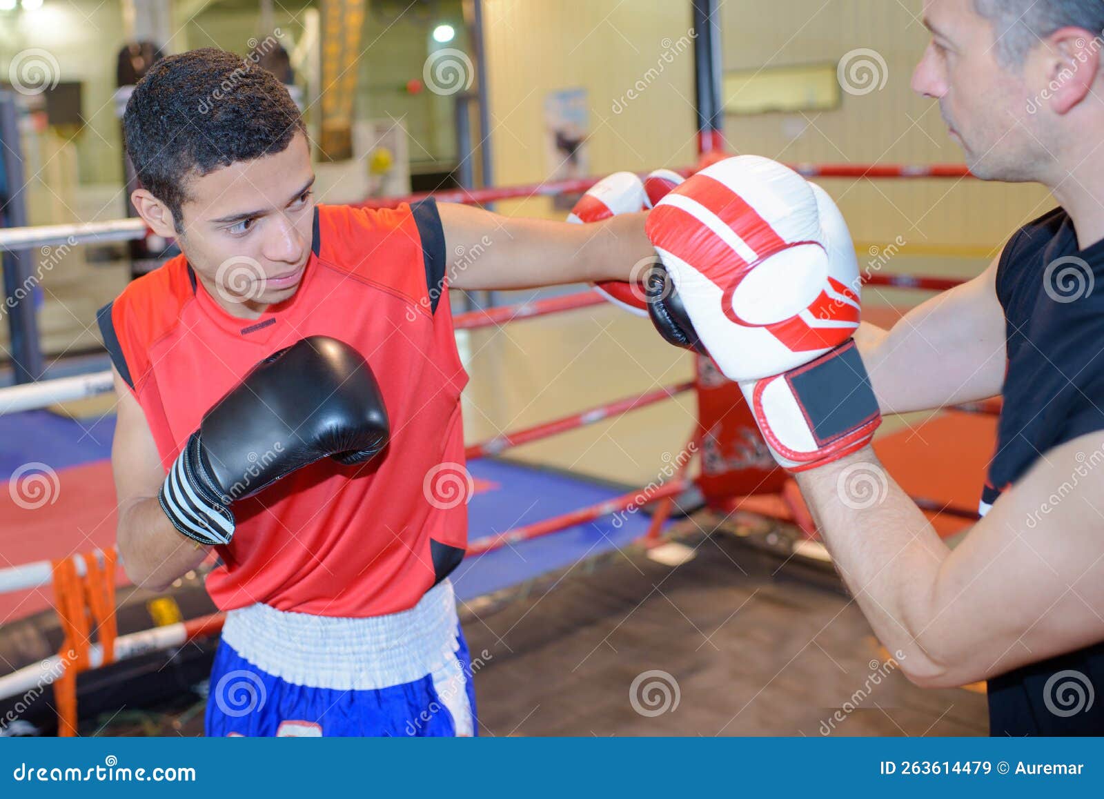Coach and Boxing Student - Boxing Training Stock Image - Image of ...