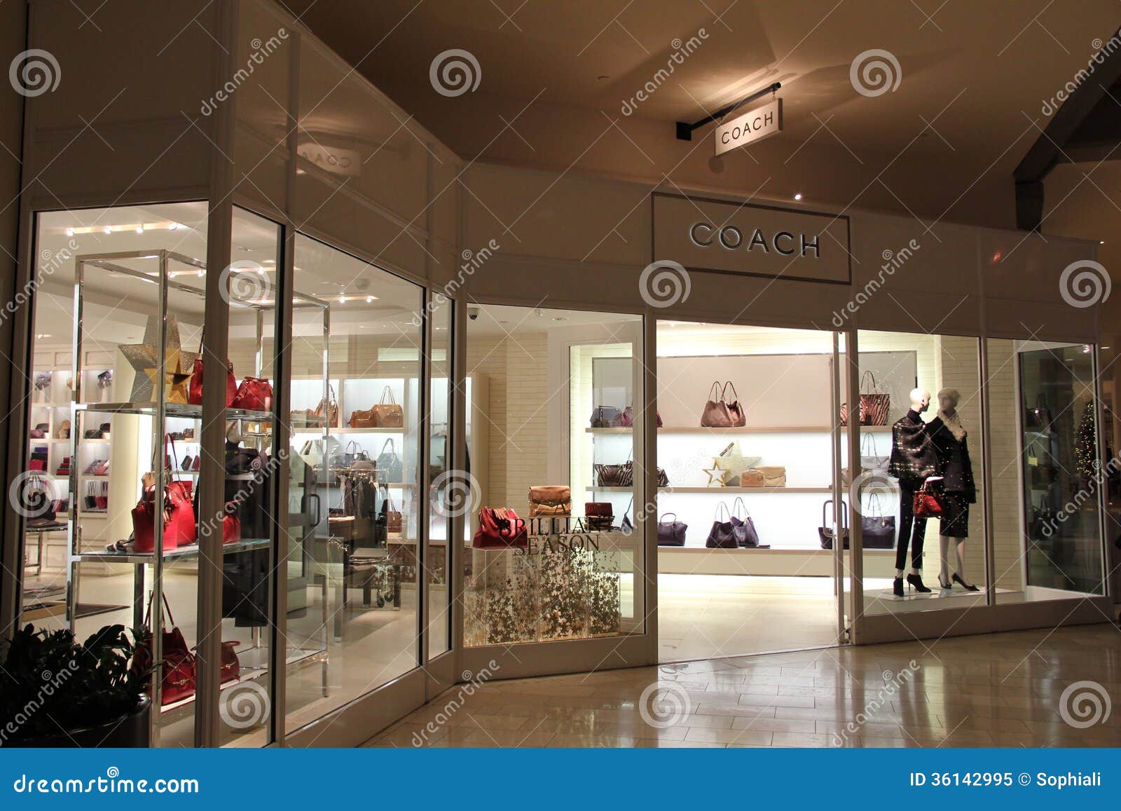 Coach Collection editorial image. Image of holiday, store - 36142995