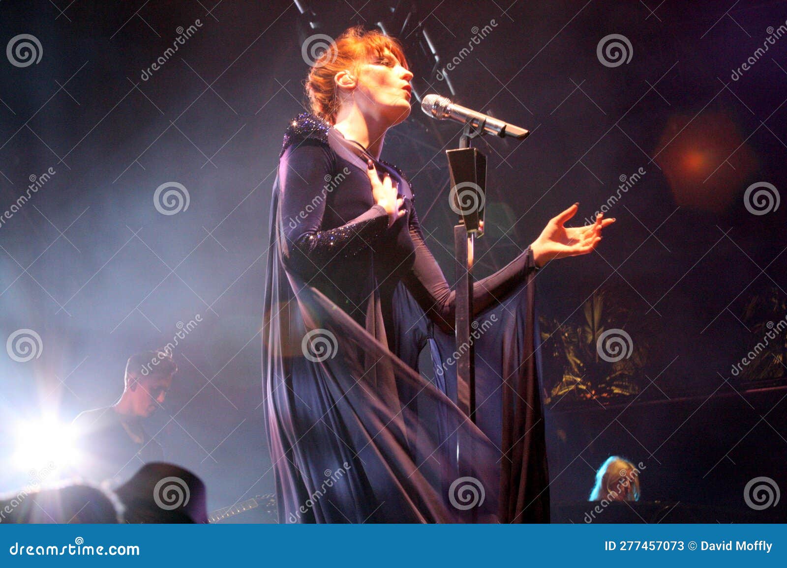 Florence and the Machine - Florence Welch in Concert at Coachella ...