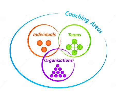 Coaching Areas Diagram stock vector. Illustration of structure - 27349836