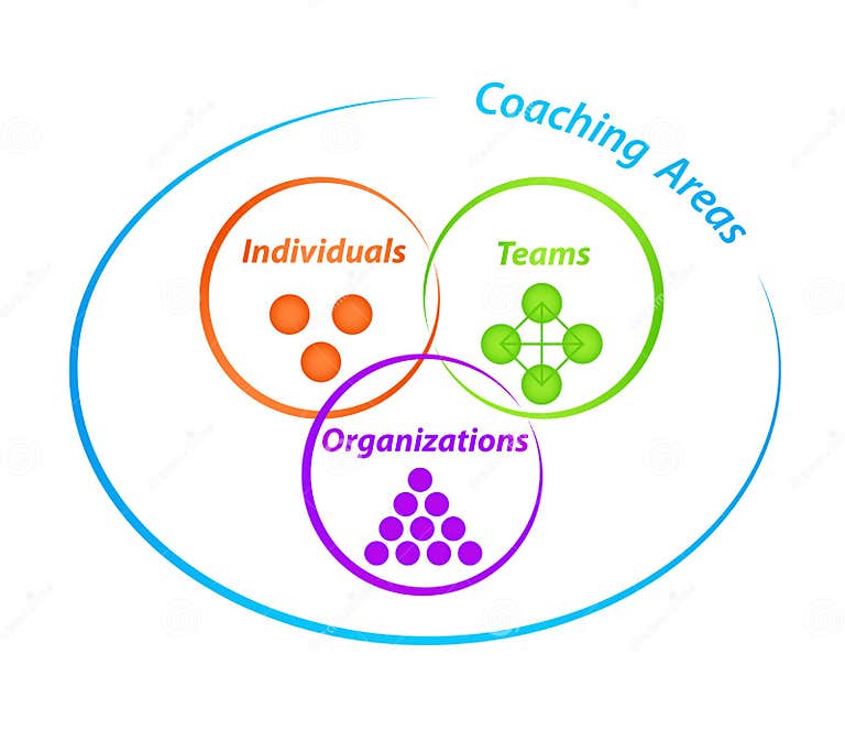 Coaching Areas Diagram stock vector. Illustration of structure - 27349836