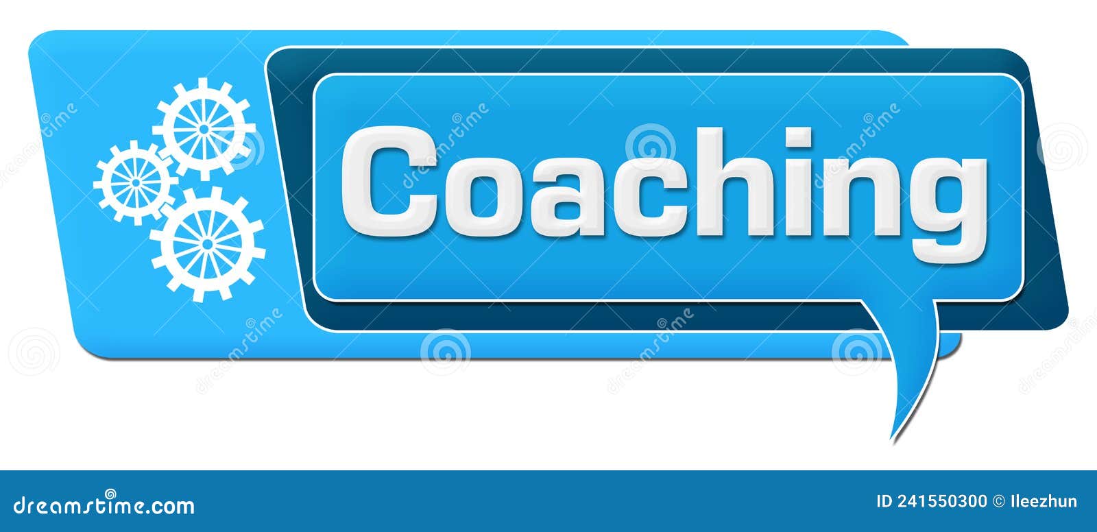 Coaching Wheels Round Divided In Two Sections. Diagrams Infographic Set ...