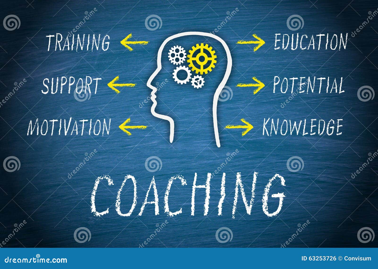 Coaching Wheels, Life Round Blanks. Diagrams Infographic Set. Circle ...