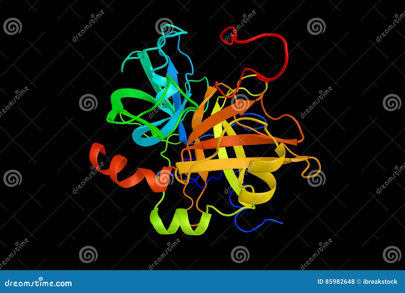Coagulation Factor II Receptor, a Protein Involved in the Regulation of ...