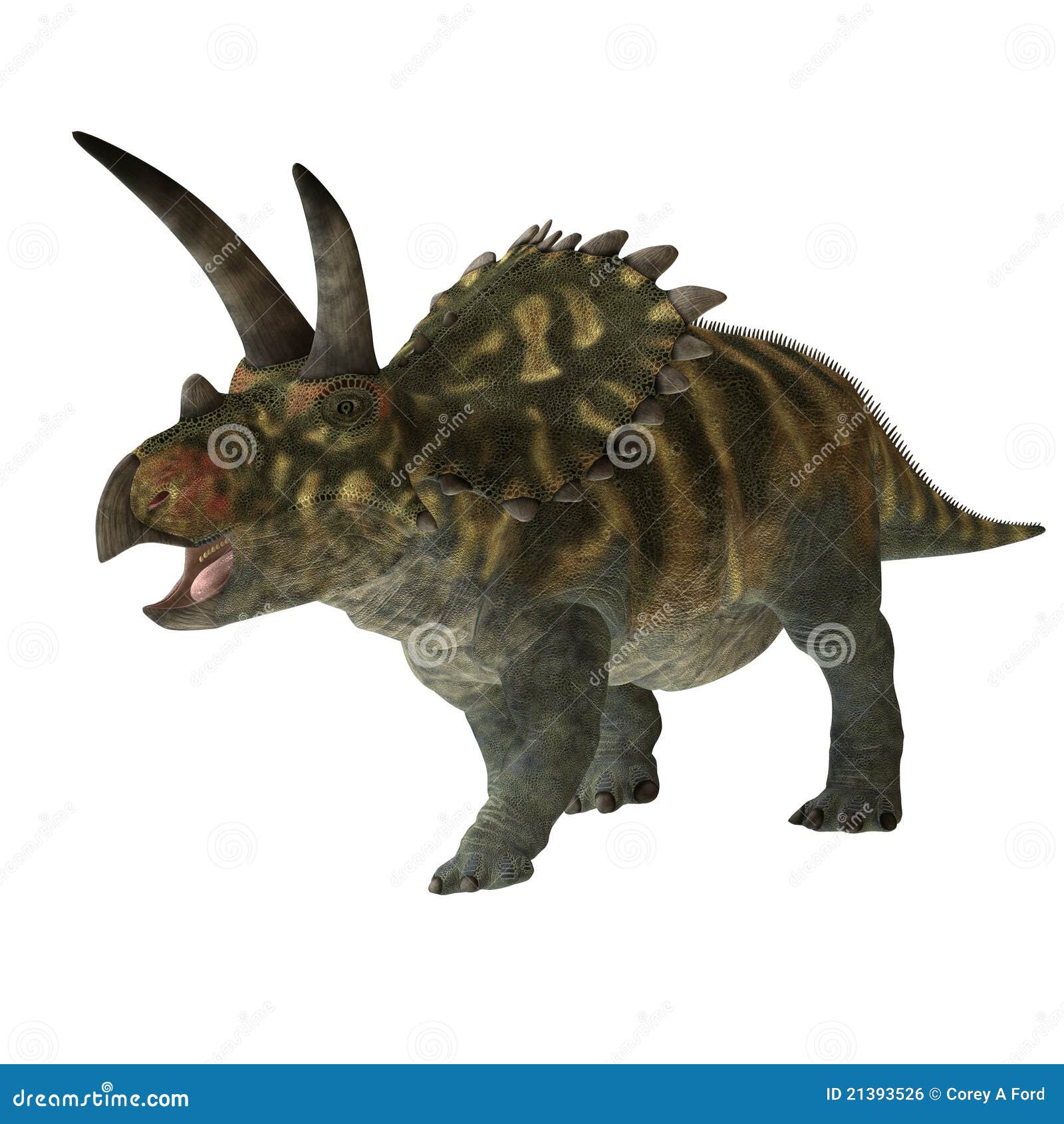 Coahuilaceratops 01 stock illustration. Illustration of terrible - 21393526
