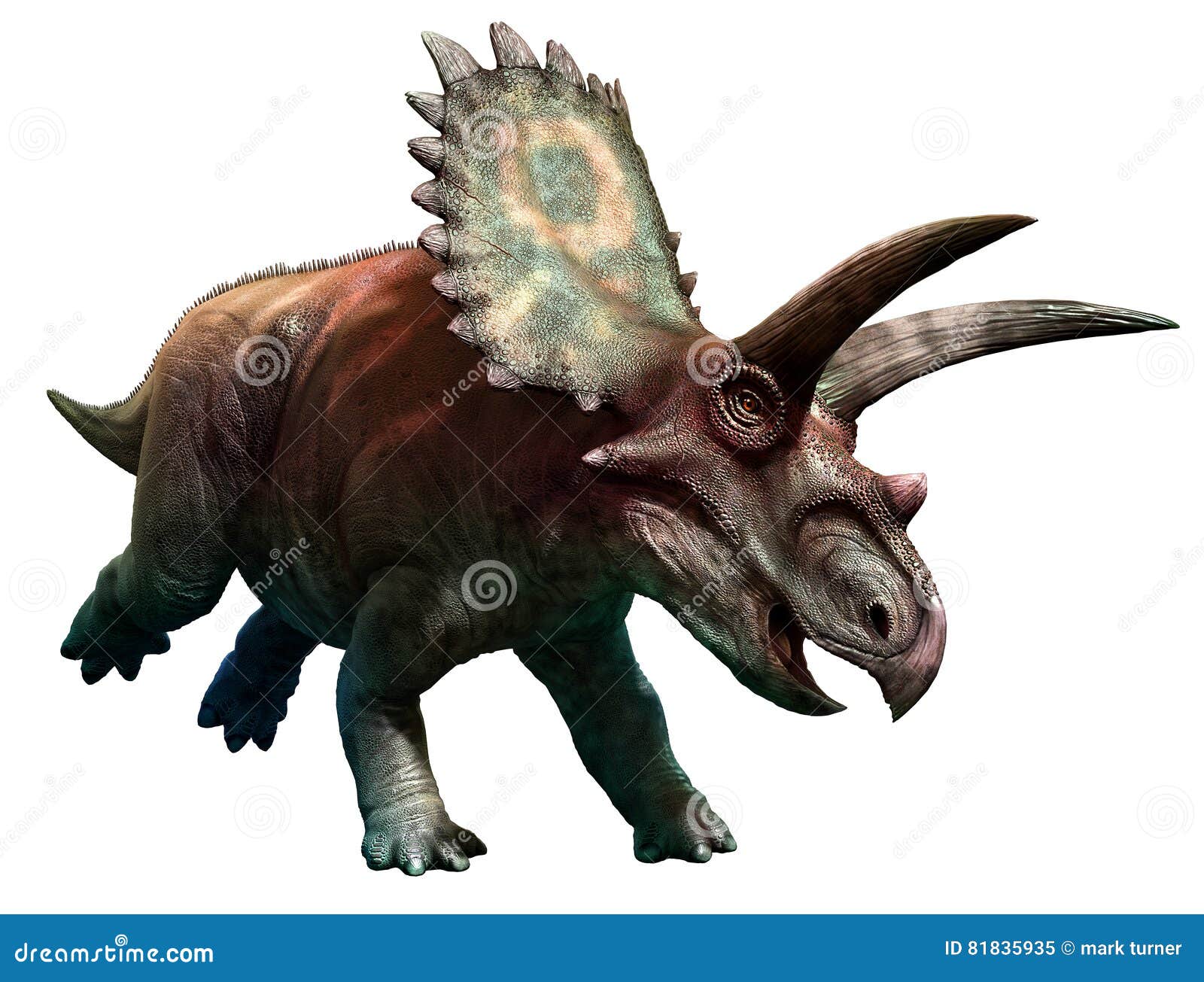 Coahuilaceratops stock illustration. Illustration of horns - 81835935