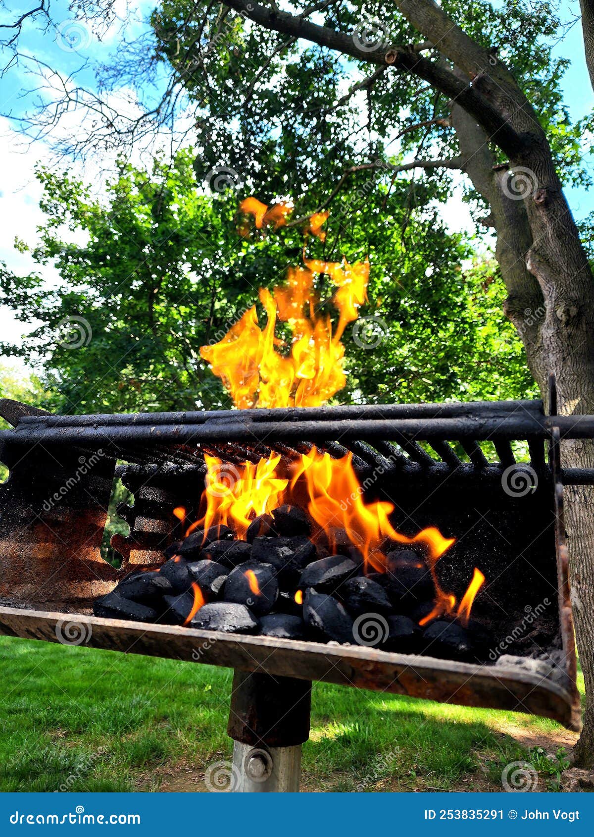Coal burn outdoor fire stock image. Image of tree, flower - 253835291