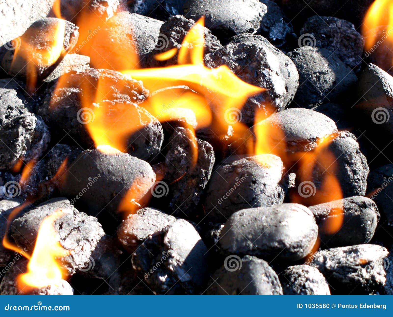 Coal on fire stock photo. Image of barbecue, flame, briquet - 1035580