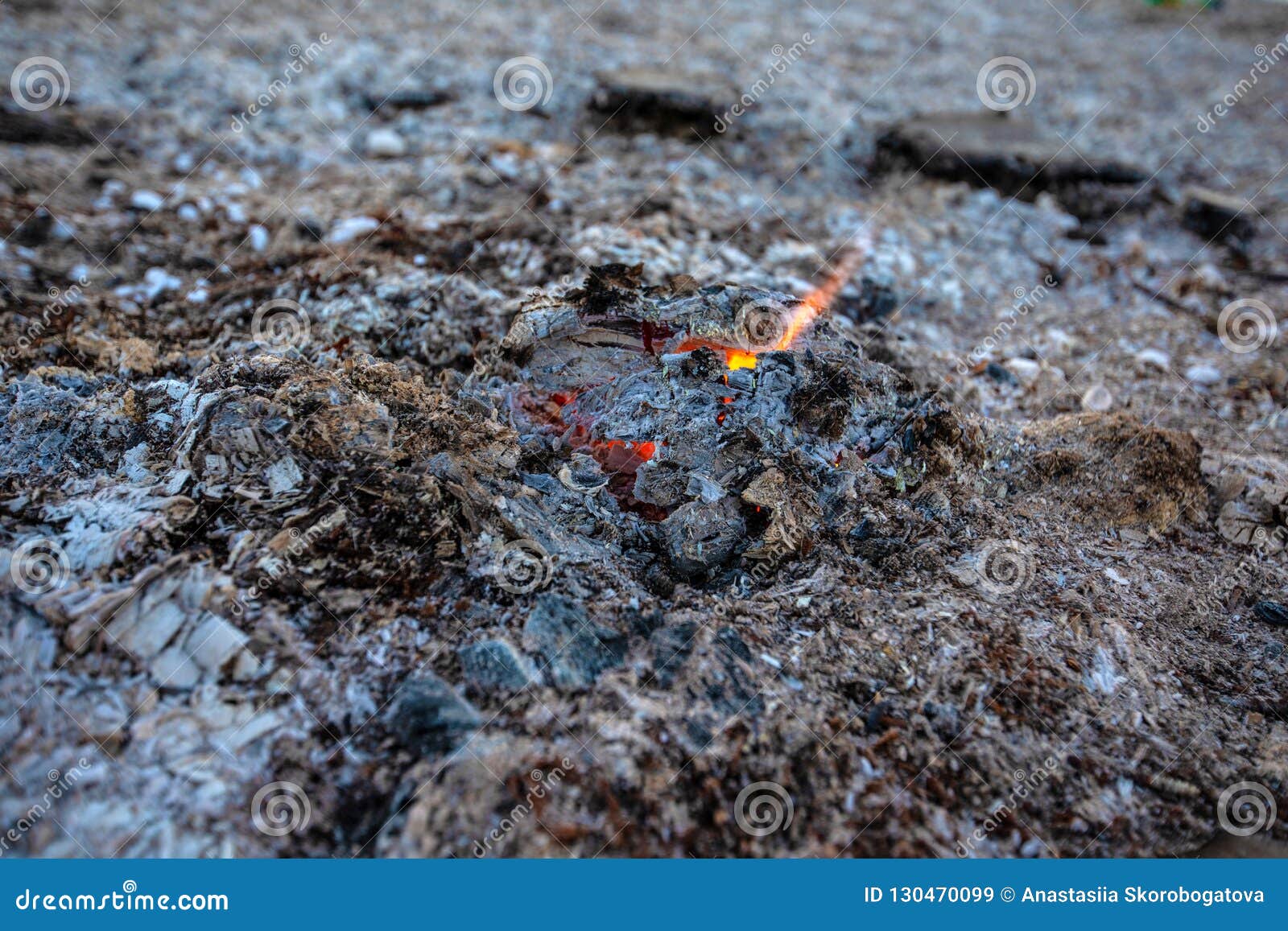 Coal and Little Bonfire of the Shore at the Dawn Stock Image - Image of ...