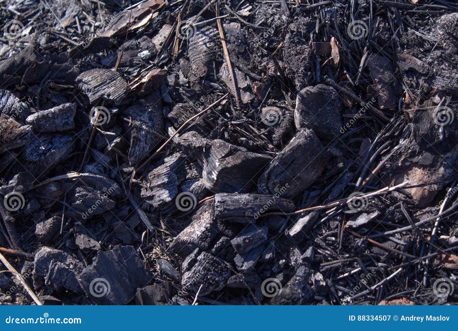 Big Cube Stone In Nahal Darga Canyon ,Judean Desert, Israel Royalty ...