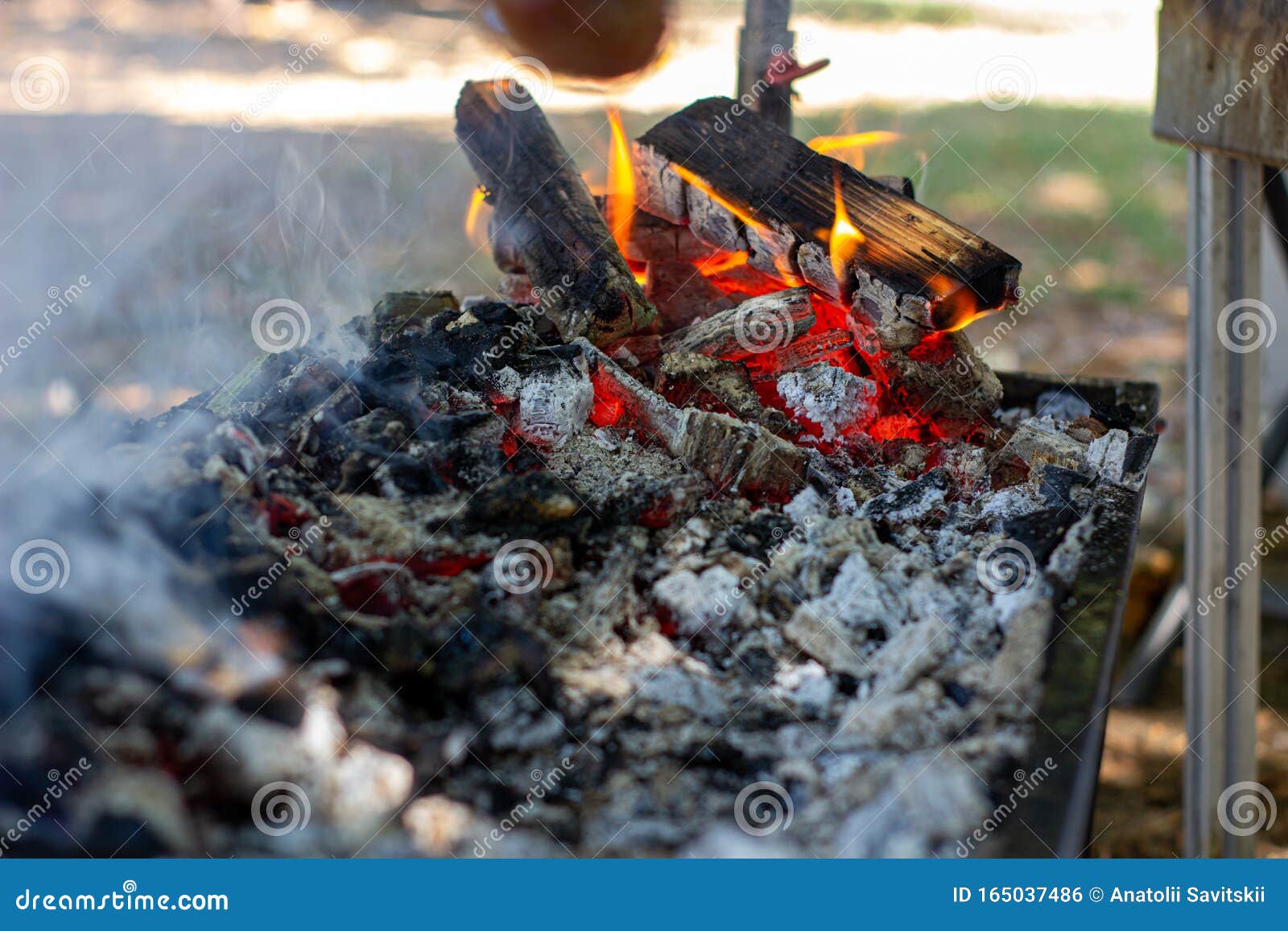 Coal. Roast Pig on a Spit. Pig Cooking in Germany Stock Photo - Image ...
