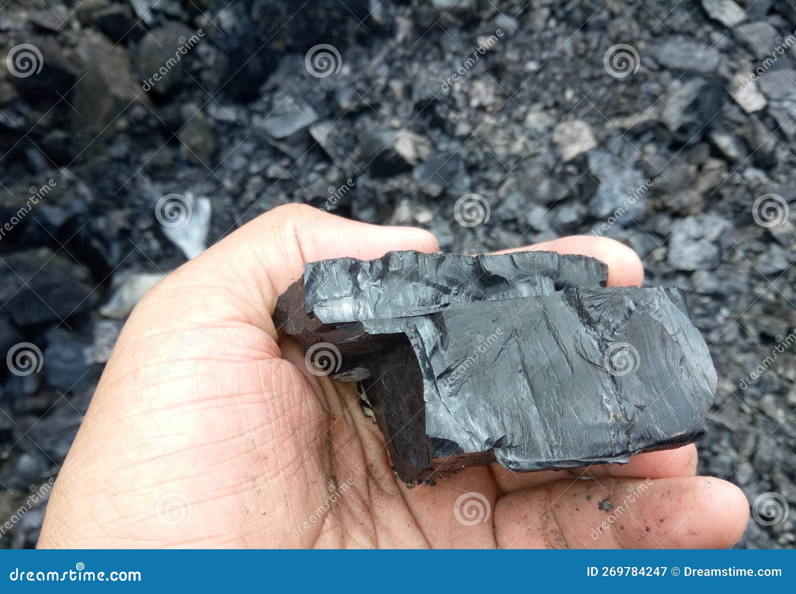 Coal sample in the mine stock image. Image of industries - 269784247