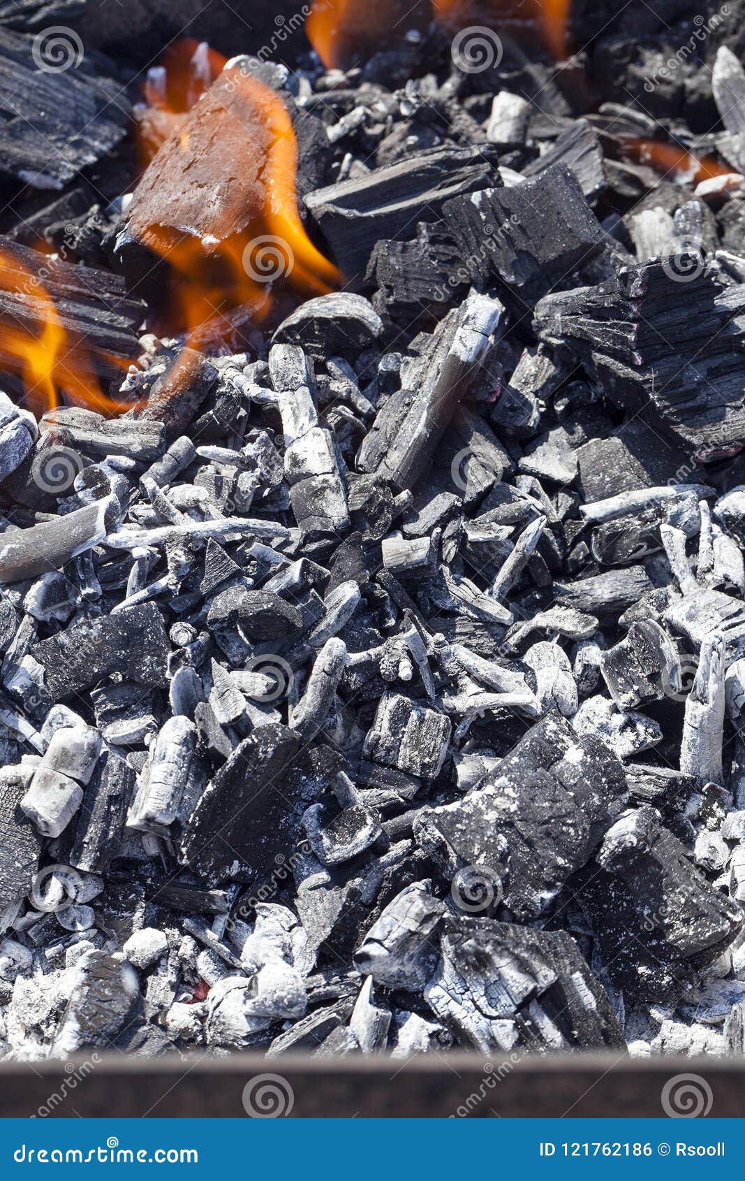 Coal from the trees stock photo. Image of blurred, abstract - 121762186