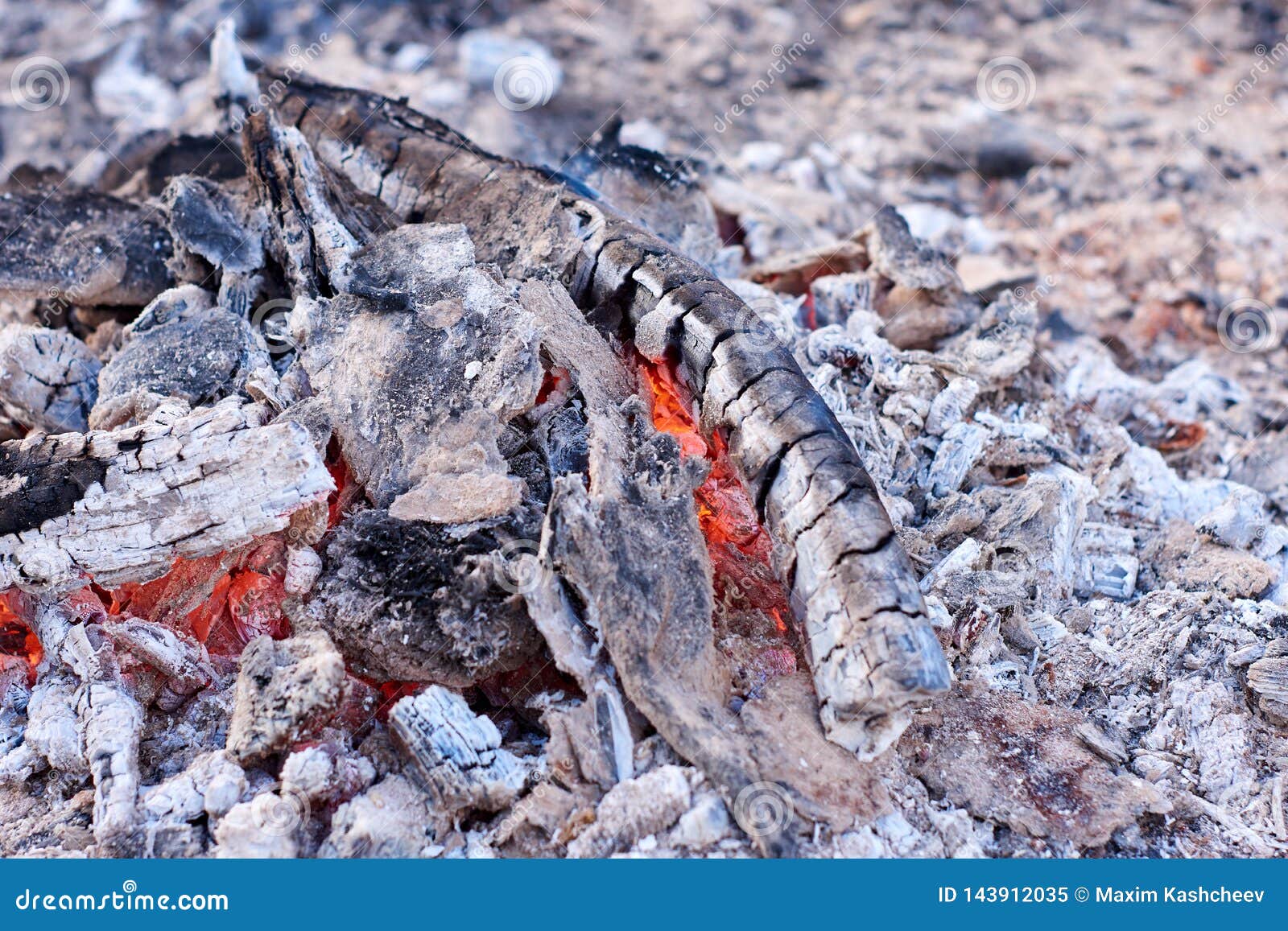 Coal from the Trees and Orange Flame in the Fire Stock Image - Image of ...