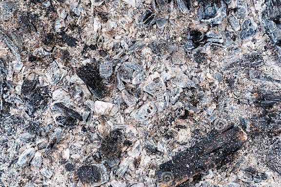 Coals, ashes and cinders stock photo. Image of pattern - 305072680