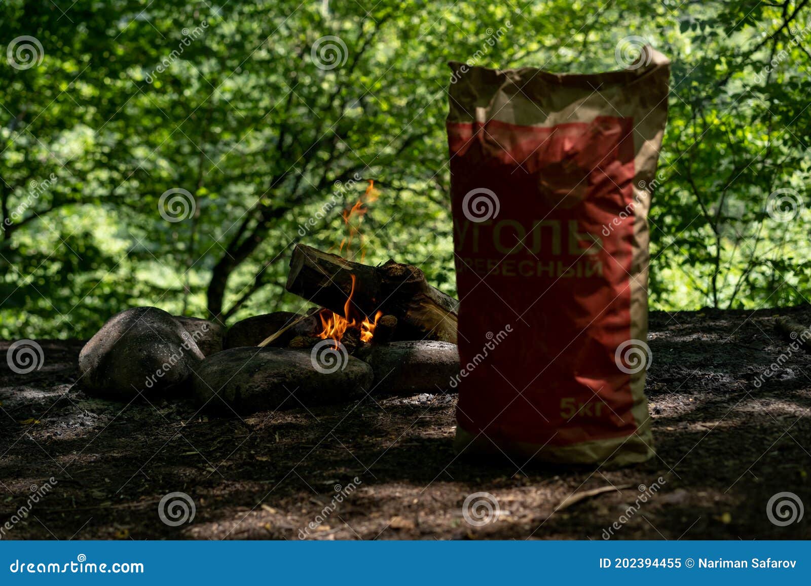 Coals in a Bag in Nature for a Fire Stock Image - Image of wood, paper ...