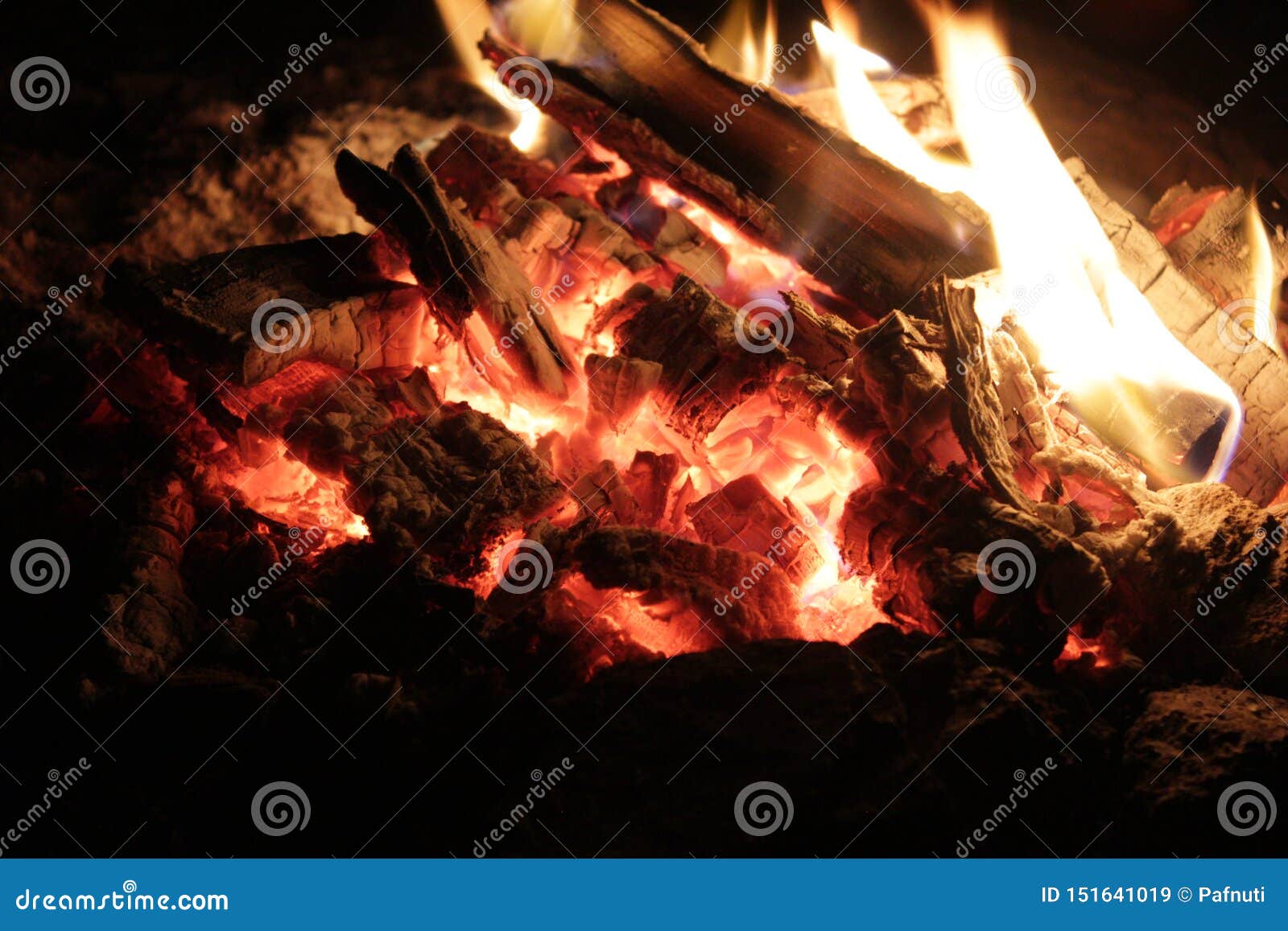 Coals of a Campfire in the Forest Editorial Stock Image - Image of ...