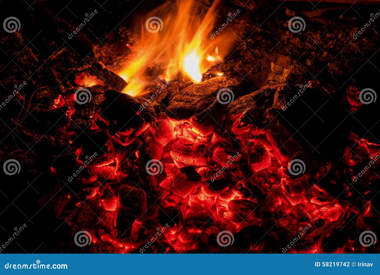 Coals fire bonfire stock photo. Image of black, orange - 58219742