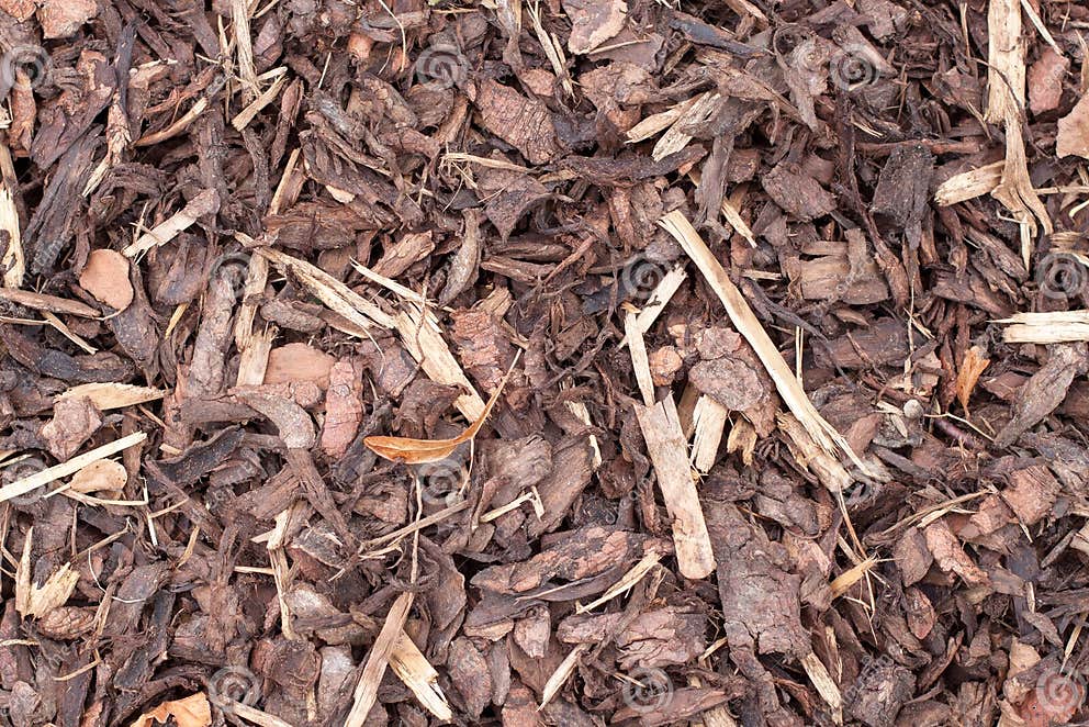 Coarse bark stock image. Image of waste, earth, background - 65496113