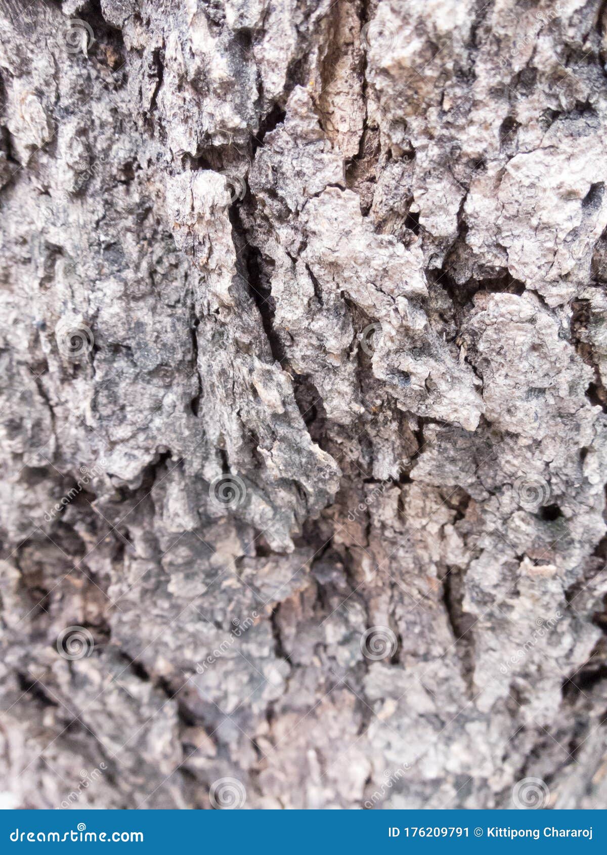 Coarse Brown Bark, Rough Surface Stock Image - Image of construction ...