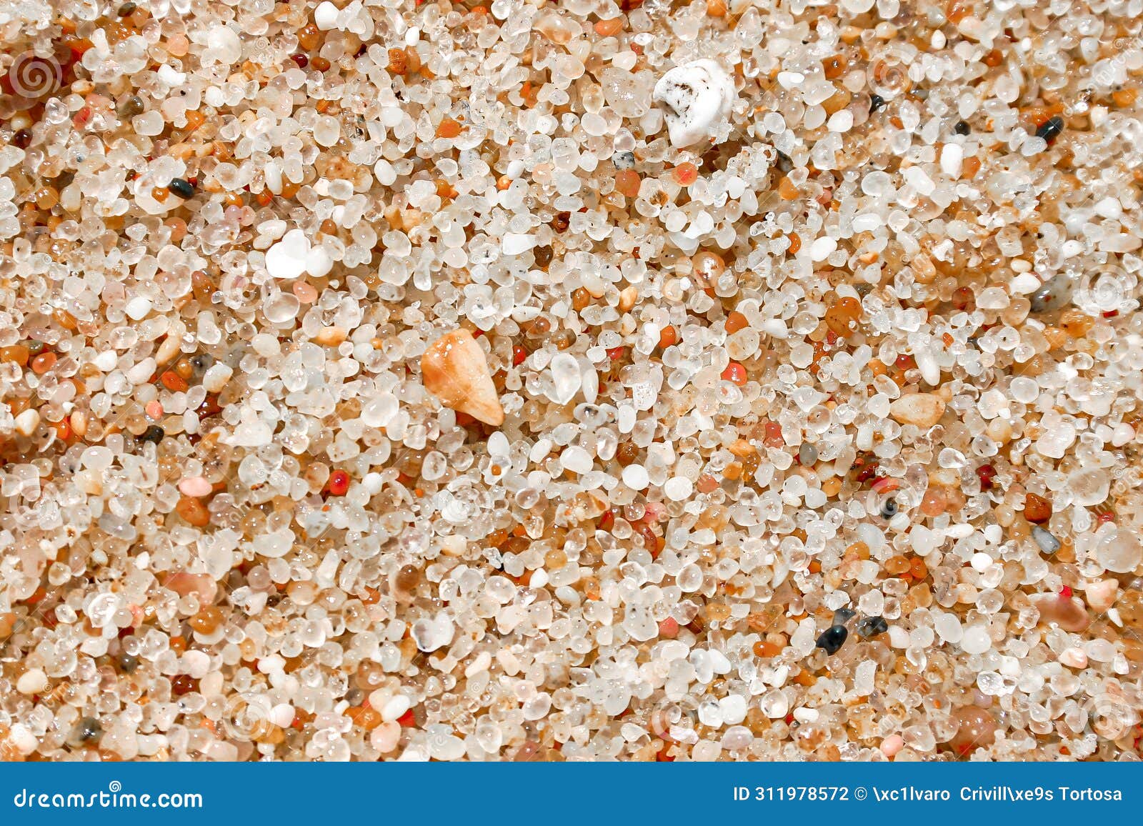 Coarse-grained Beach Sand Texture of the Atlantic Ocean Stock Photo ...