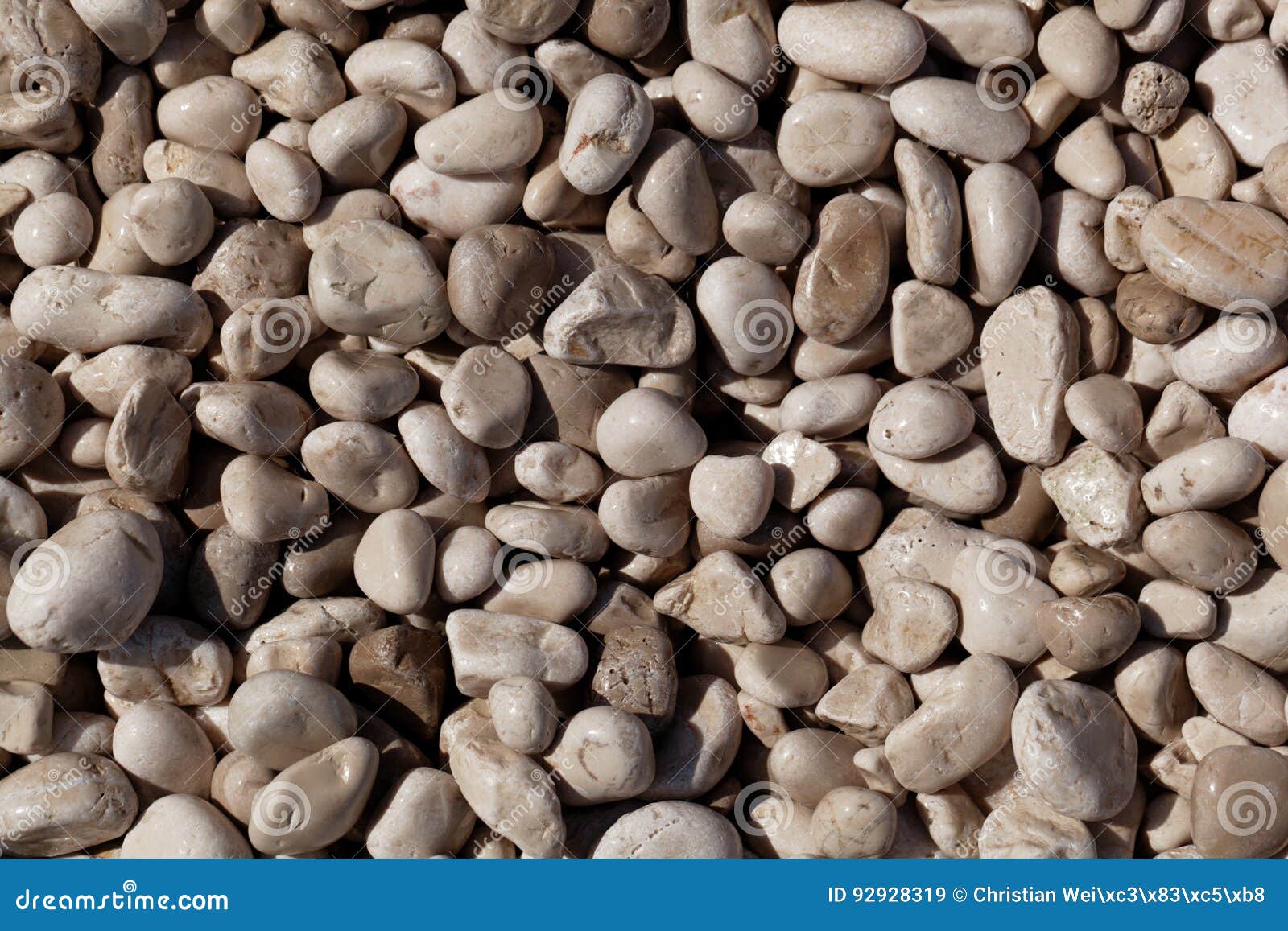 Coarse Grained White Pebble Stones Stock Image - Image of detail, close ...