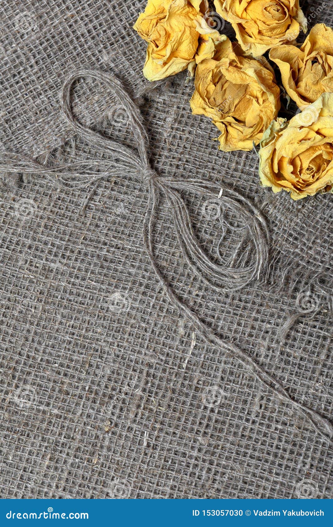 Coarse Linen Fabric. on it are Dried Yellow Roses and a Bow of Linen ...