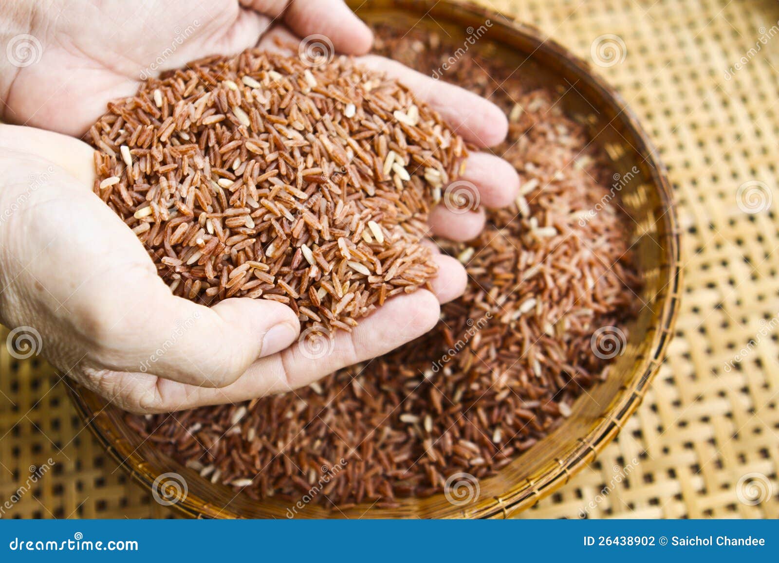 Coarse rice stock photo. Image of carbohydrate, care - 26438902
