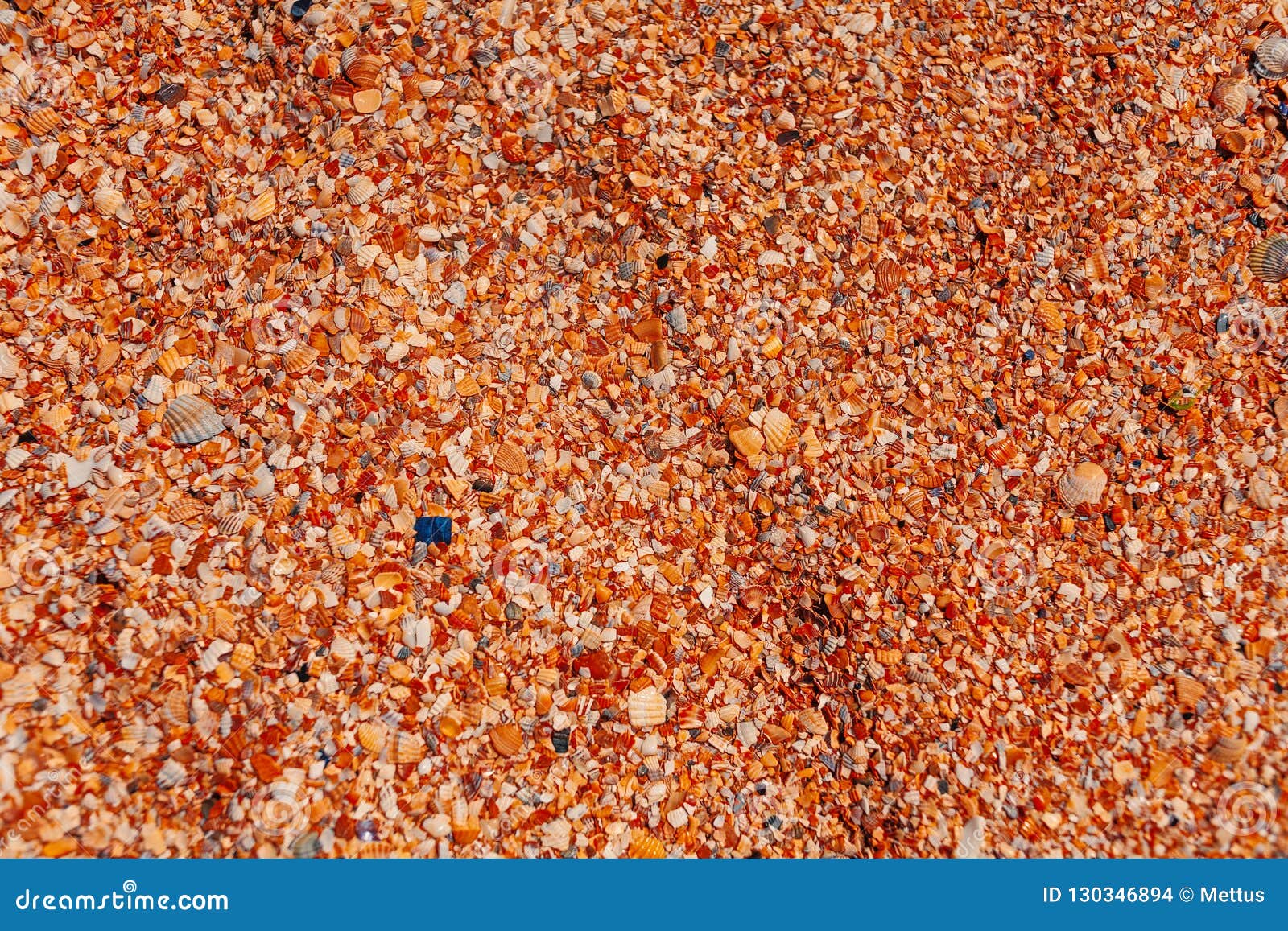 Coarse Sand Surface with Chips of Shells Stock Photo - Image of ...