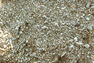 Coarse Sand Texture stock photo. Image of seaside, beach - 83198792