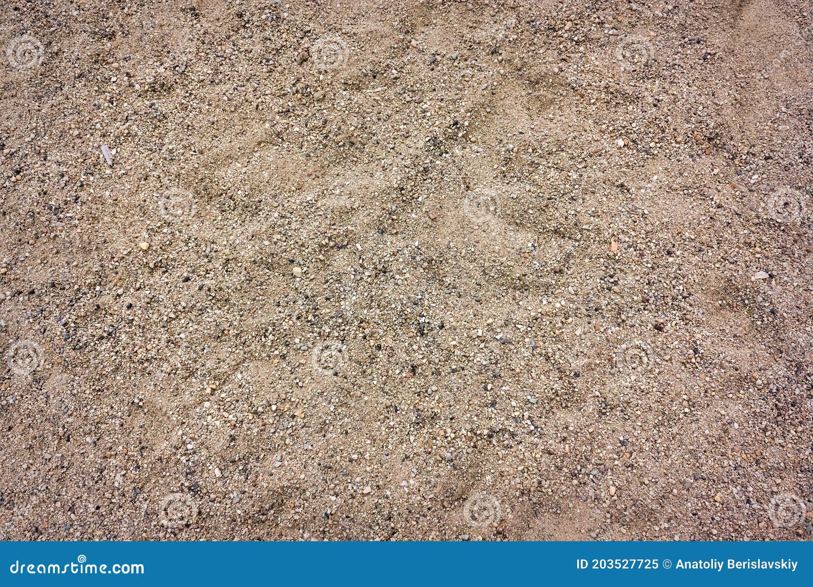 Coarse Sand Texture. Sunlit Sandy Beach Surface, Macro Background ...