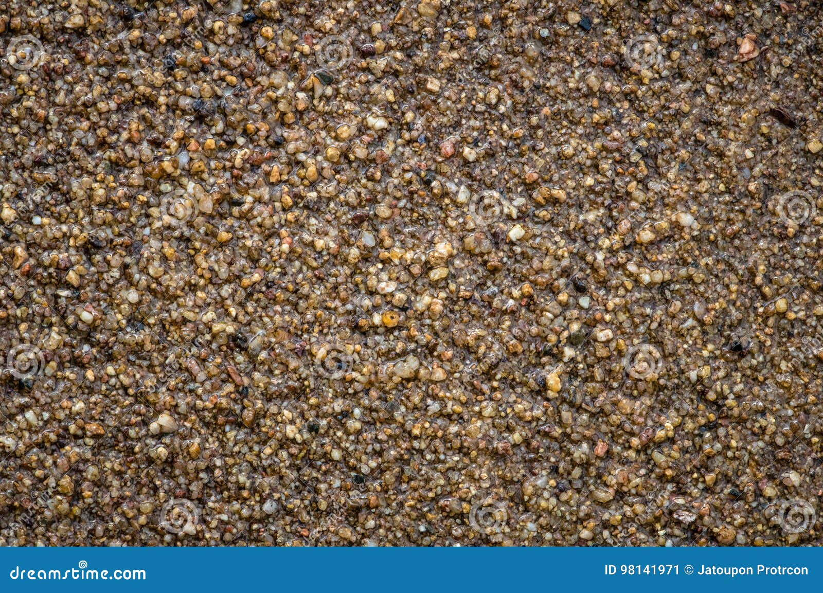 Coarse Sandy Background from Freshwater Beaches1 Stock Image - Image of ...