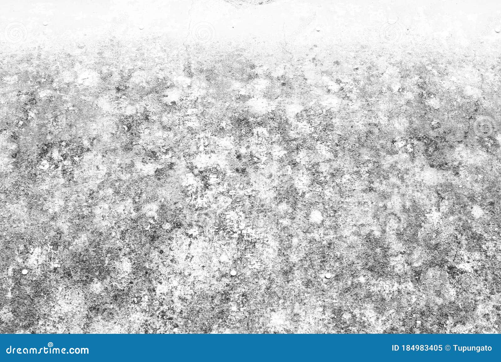 Coarse texture stock image. Image of dirty, retro, plaster - 184983405