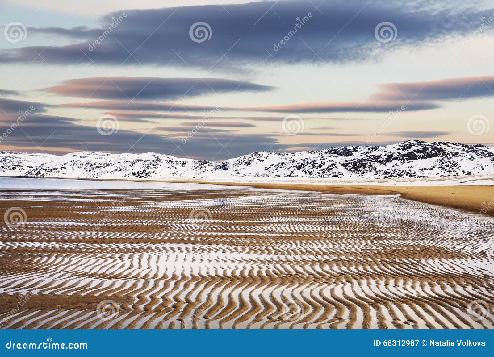 The Coast of the Arctic Ocean at Low Tide Stock Image - Image of ...