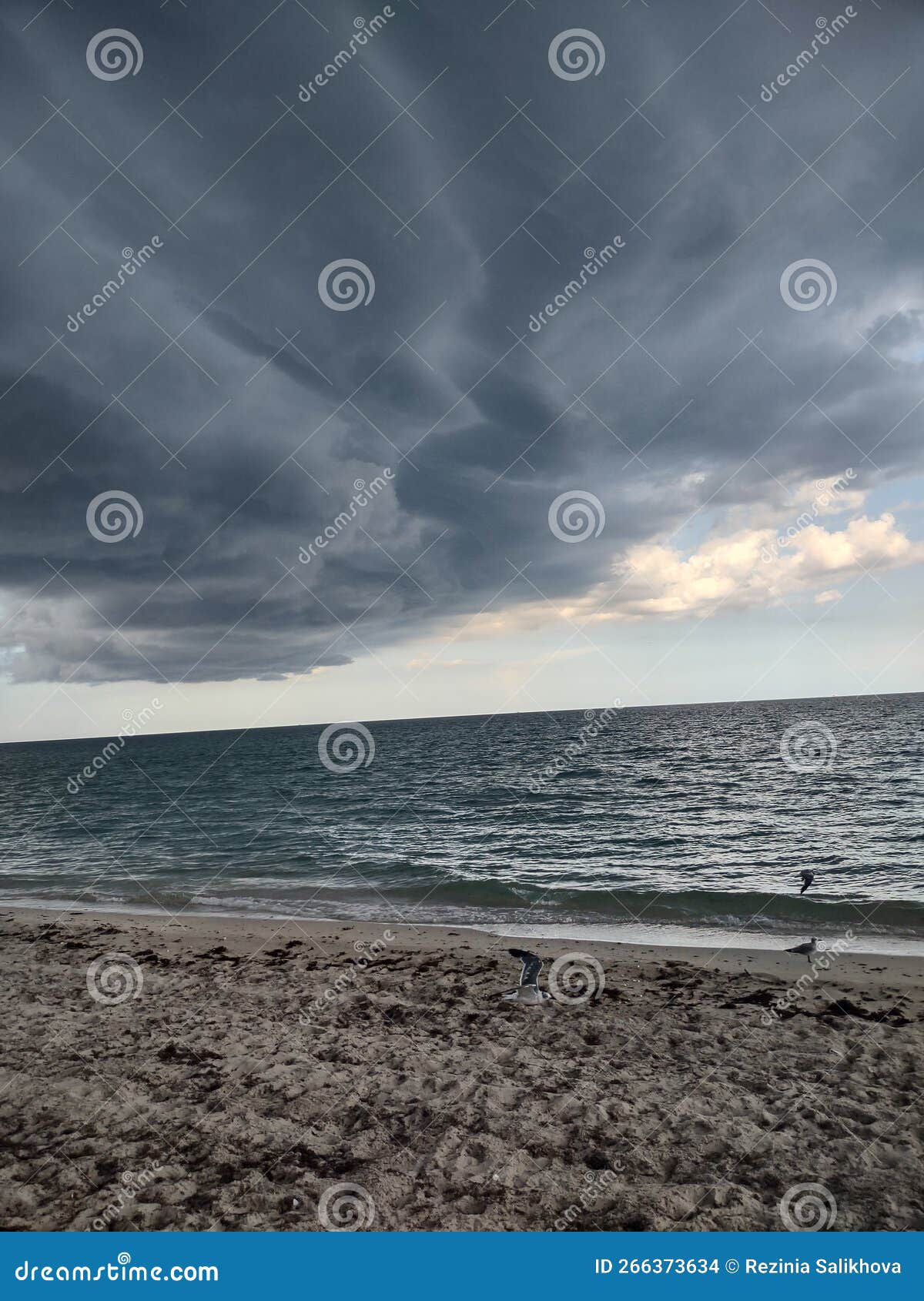 An impending storm stock photo. Image of morning, impending - 266373634