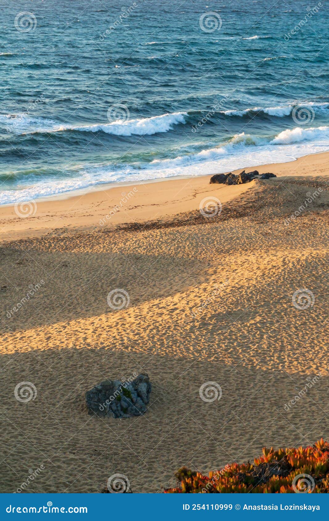 The Coast of the Atlantic Ocean with a Sandy Beach in the Rays of the ...