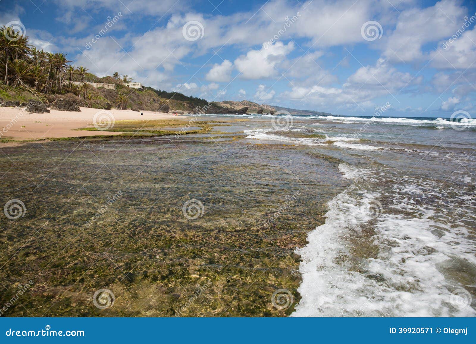 Coast of Barbados stock image. Image of sand, water, view - 39920571